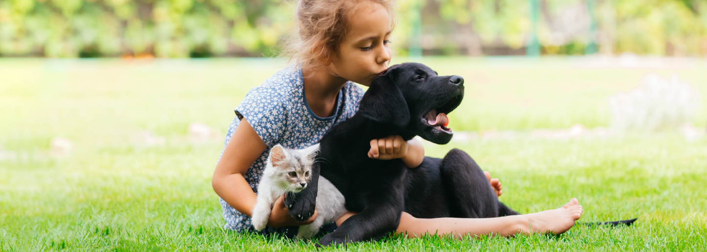 Home page [animalhealthhub.co.nz]