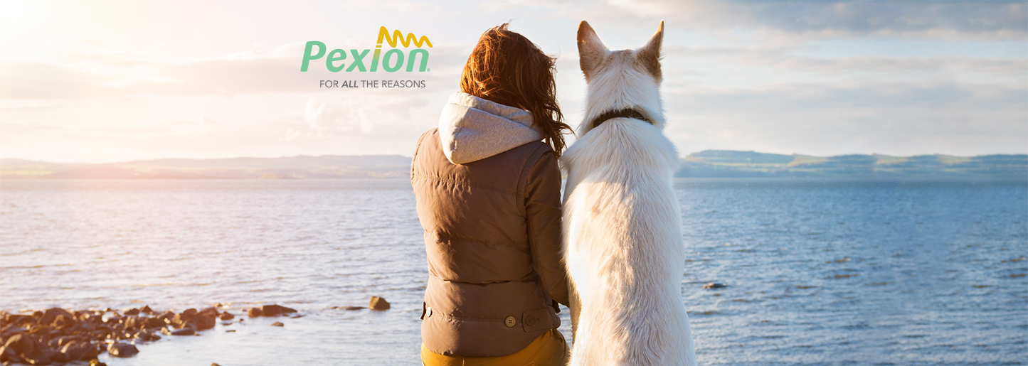 Homepage [animalhealthhub.co.nz]