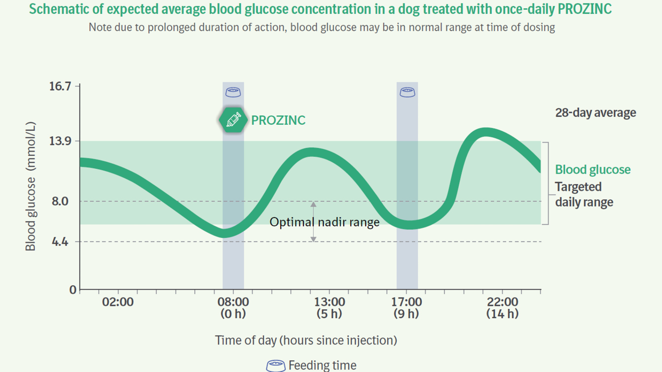 PROZINC: Patient Management (Dogs)