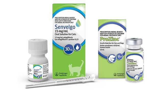Decoding Diabetes in Pets
